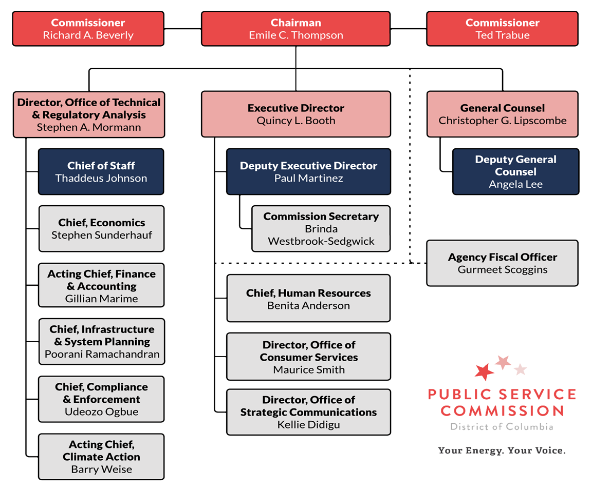 Chief Financial Officer Organization Chart
